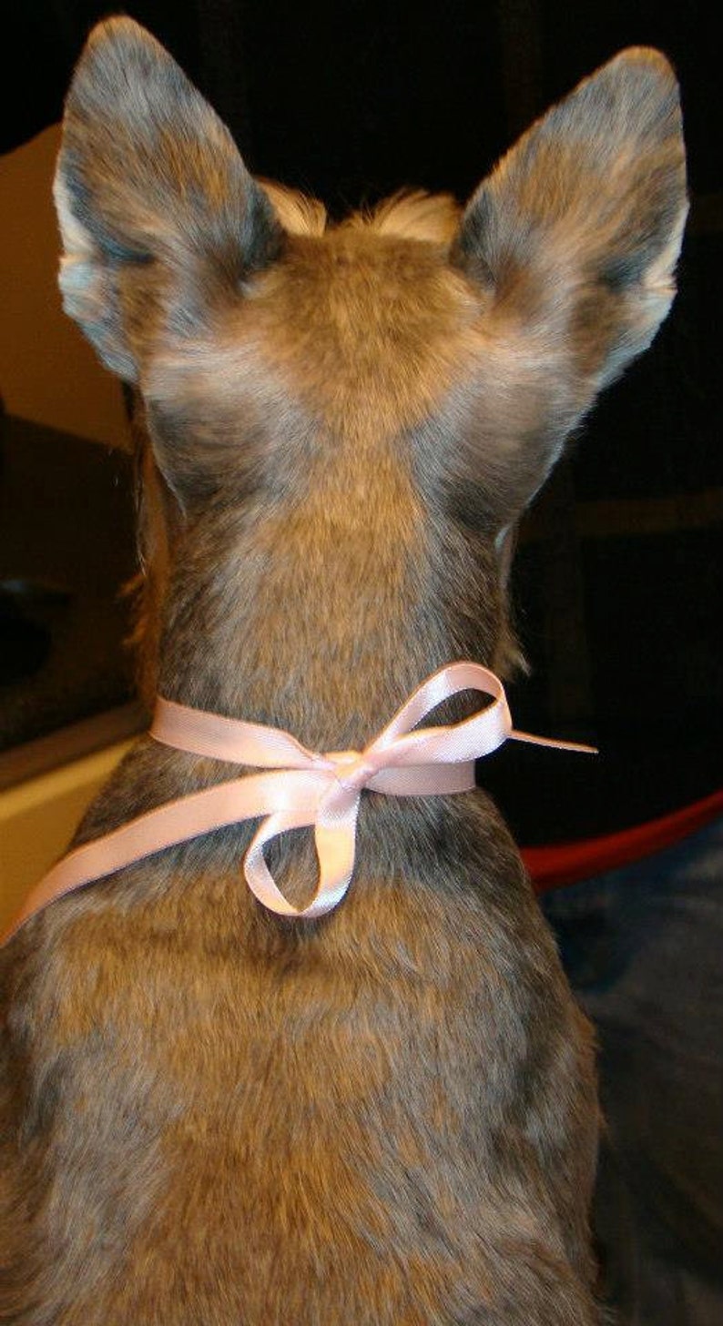 Diva Pet Dog Cat Ribbon Necklace Decorative Collar Scarf Petite Pink ...