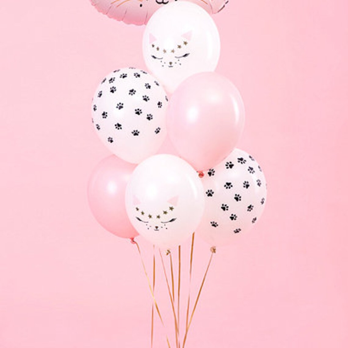 6 Cat Party Balloons Cat Birthday Party Decorations | Etsy