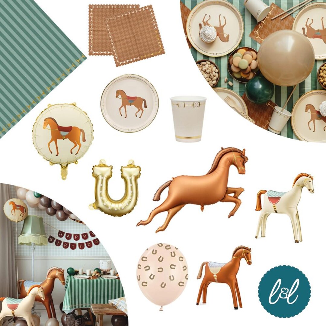 Horse Pony Theme Party Supplies and Decorations, Western Cowboy Rodeo ...