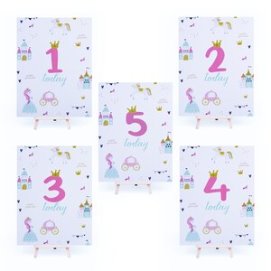A4 Princess Birthday Party Sign, Childrens Girls Princess Party ...