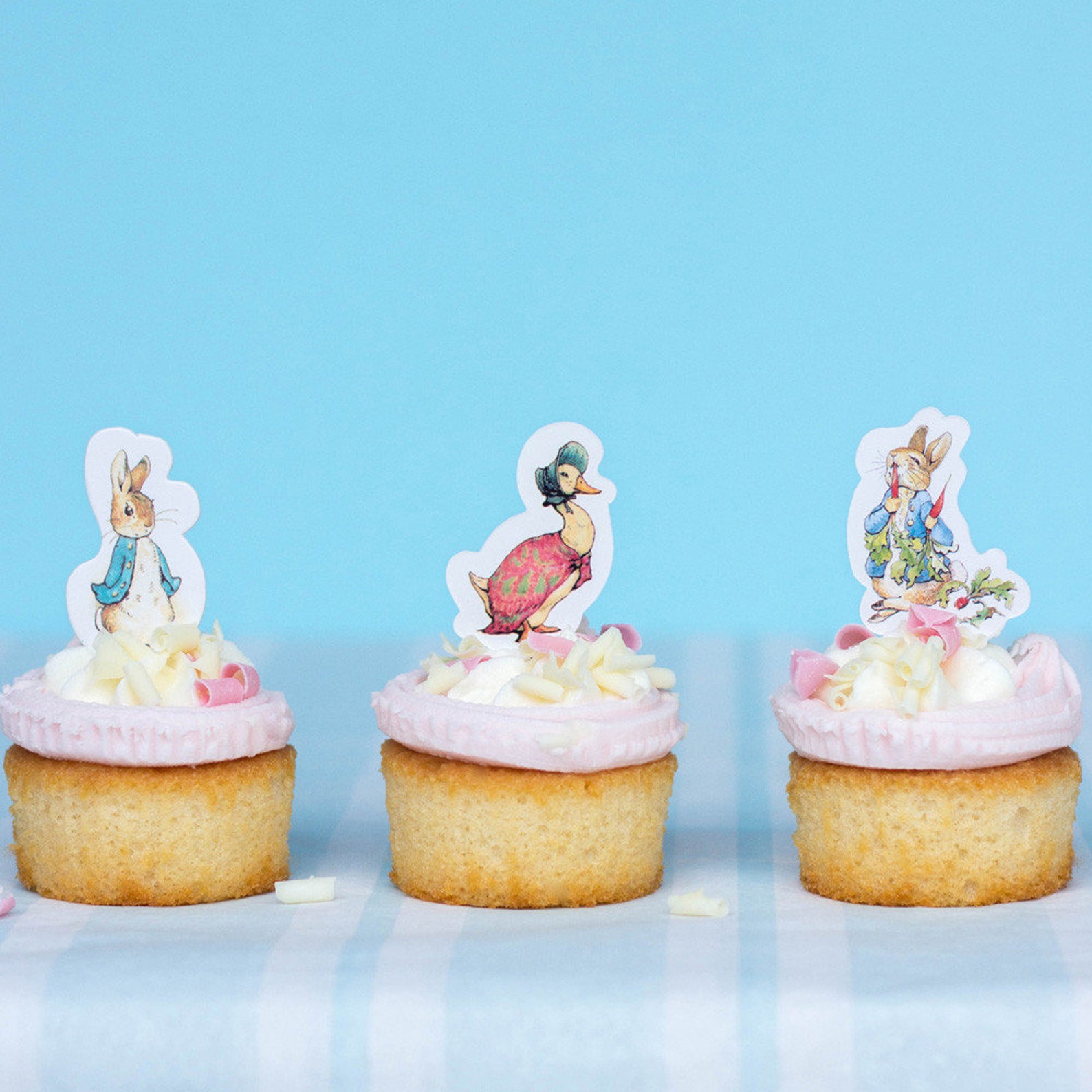 24 Peter Rabbit Party Picks Canape Flags Peter Rabbit Cake - Etsy