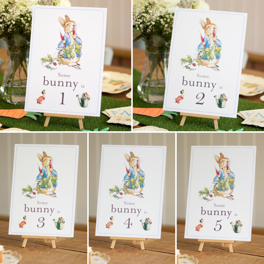 Peter Rabbit Birthday Table Signs, 1st 2nd 3rd 4th 5th Birthday Table ...