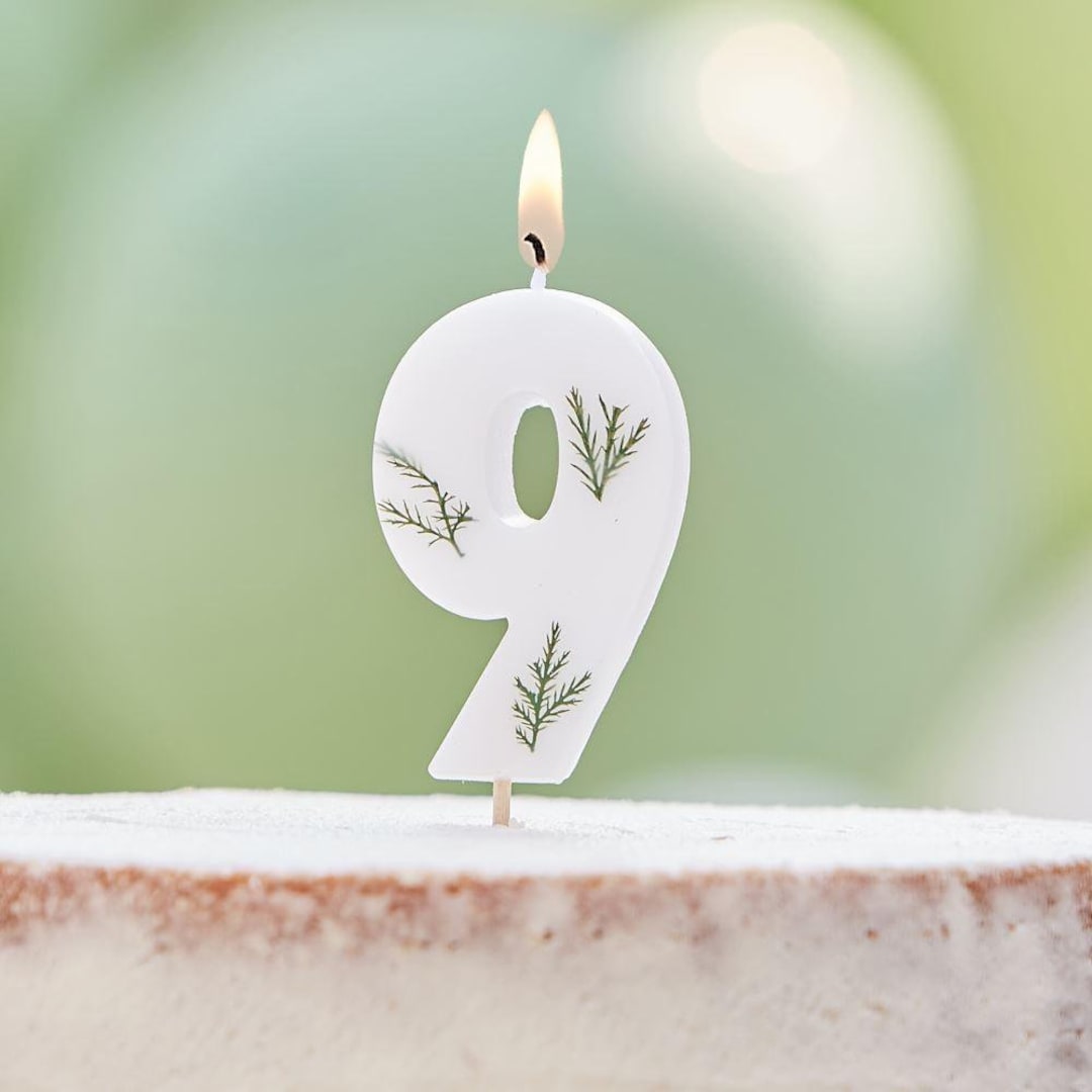 Botanical Number 9 Birthday Candle, Leaf Pressed Foliage Party Candle ...