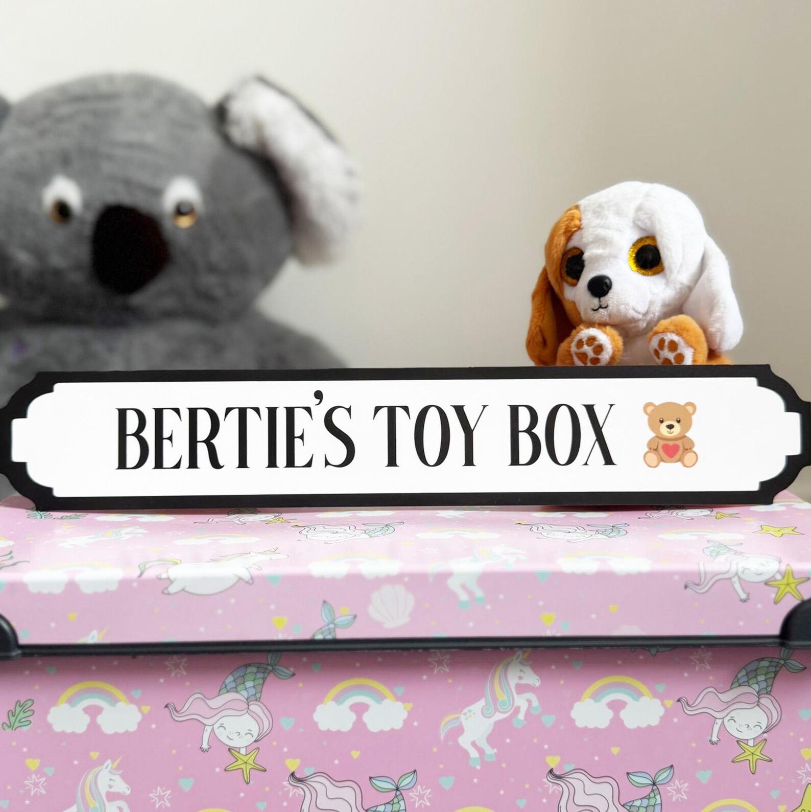 Custom Acrylic Name Sign for Toy Box , Personalized Kids Name Plaque ...