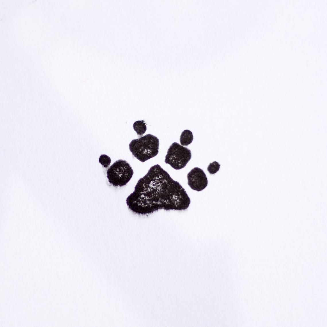 Paw Print Stamp Cat Paw Stamp Dog Paw Stamp Pet Paw Stamp - Etsy