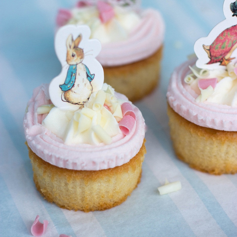 24 Peter Rabbit Party Picks Canape Flags Peter Rabbit Cake - Etsy