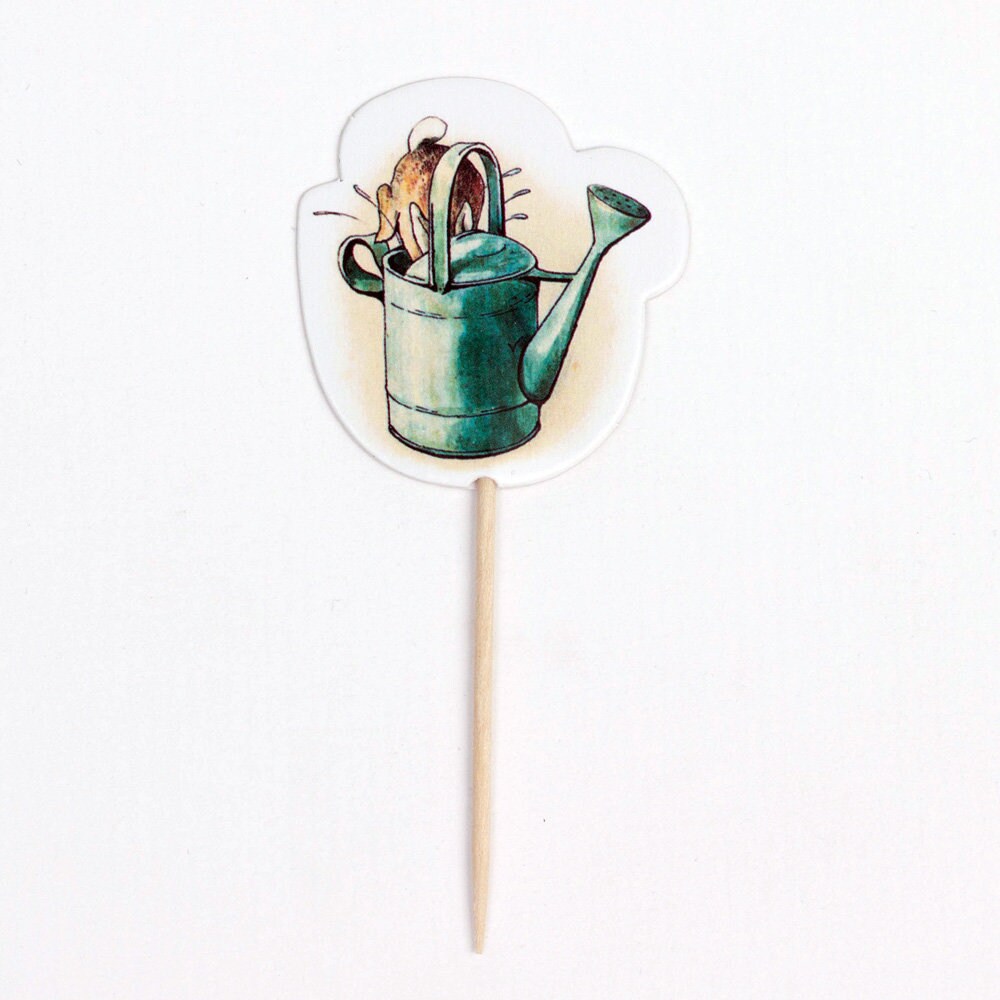 24 Peter Rabbit Party Picks Canape Flags Peter Rabbit Cake | Etsy