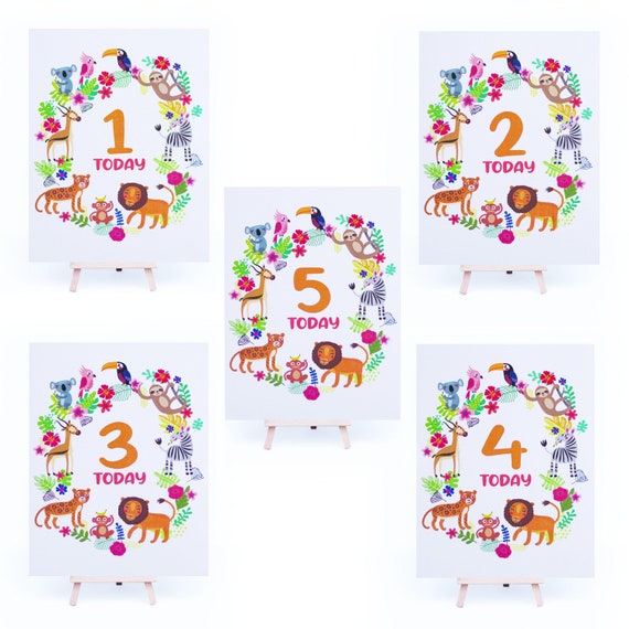 Banners & Signs Party Décor Rainforest Animals 2nd Birthday Table Sign ...