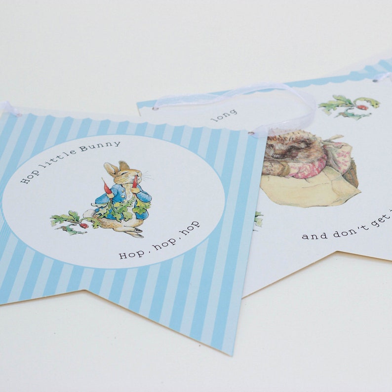 Peter Rabbit Bunting Garland Christening Party Decoration | Etsy UK