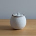 Japanese Shigaraki Ceramic Lidded Salt Pot - Charcoal - Etsy