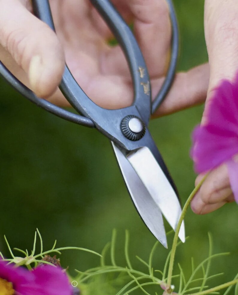 Sentei Garden Scissors - Etsy