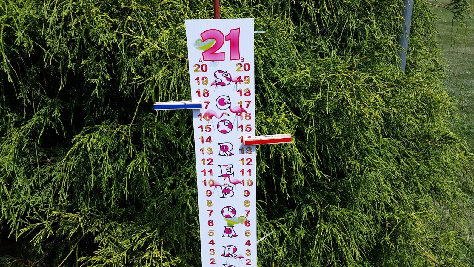 Cornhole Scoreboard Pink Flamingos and Margaritas This is a | Etsy