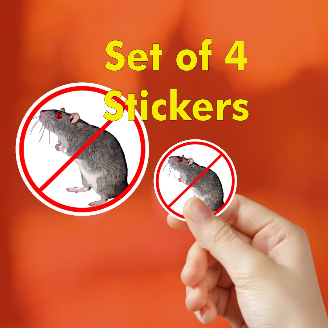 No Rats Sticker Set - Hard Hat, Laptop, Toolbox - Etsy
