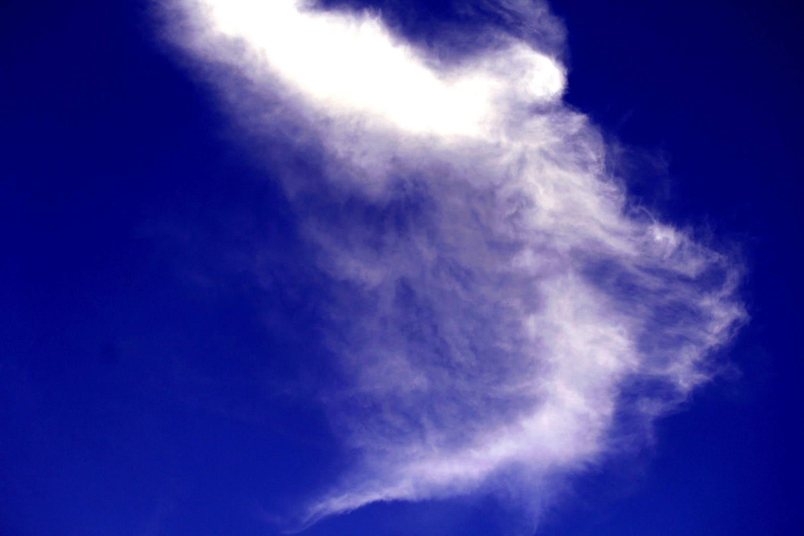 Angel Playing Harp Cloud Photograph 8 X 8 Print Photographer - Etsy