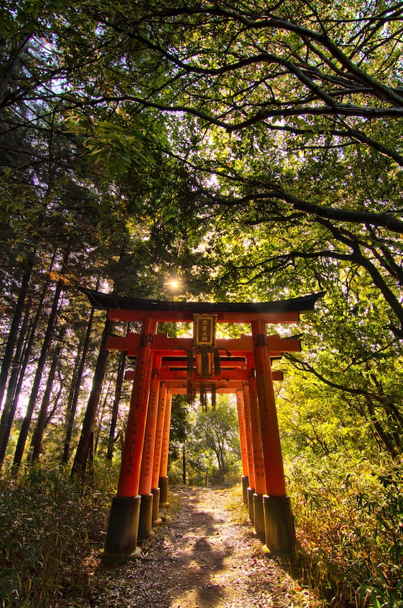 Japanese Landscape Photography