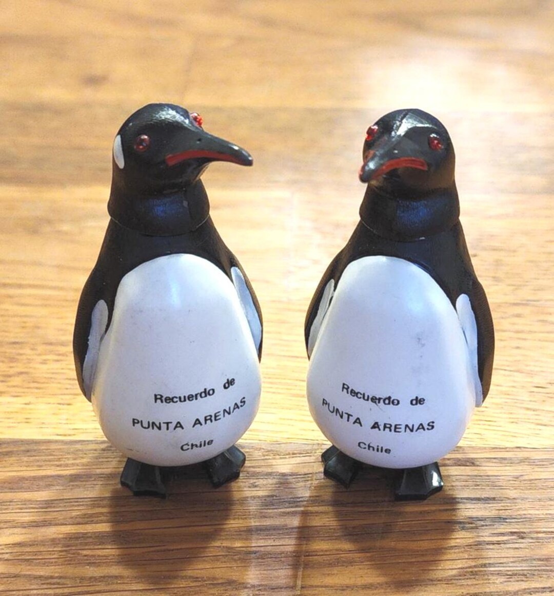Breba Bobblehead Penguin - Recuerdo De Punta Arenas Chile - Etsy