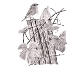 Drawing of a Bird | Etsy