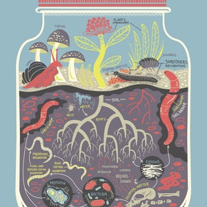 Micro Ecosystems: Soil Terrarium Art Print | Etsy