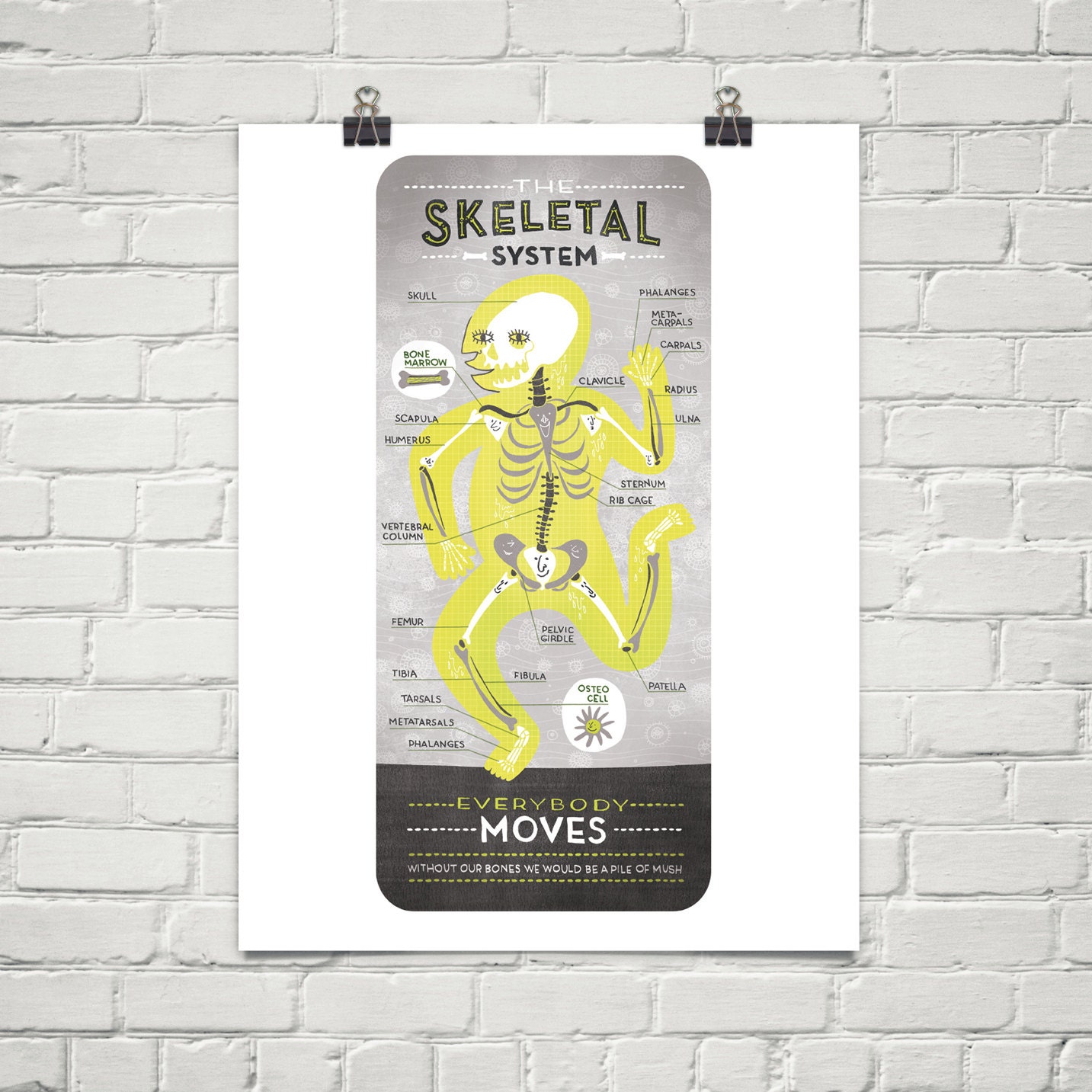 The Skeletal System Poster - Etsy UK