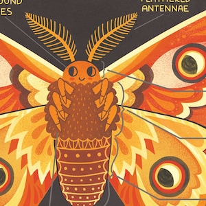 Moth Anatomy Art Print - Etsy