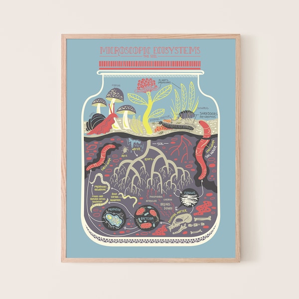 Wall Terrarium - Etsy