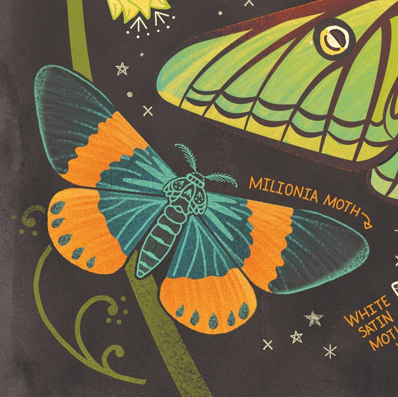 Night Moths Art Print - Etsy