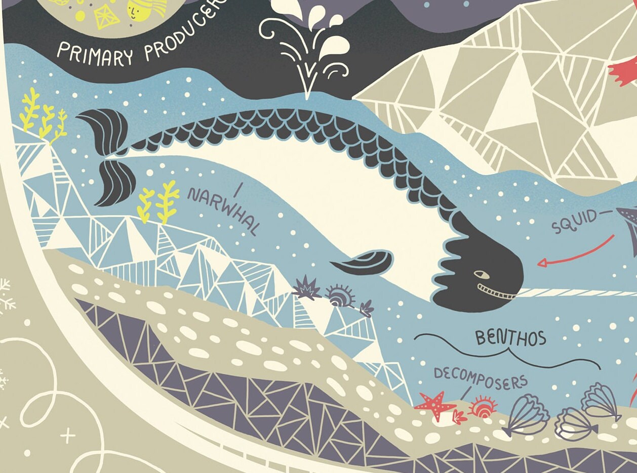 An Arctic Ecosystem: Terrarium Art Print - Etsy
