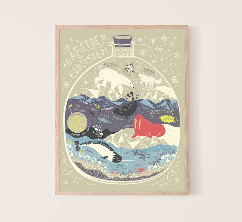 An Arctic Ecosystem: Terrarium Art Print - Etsy
