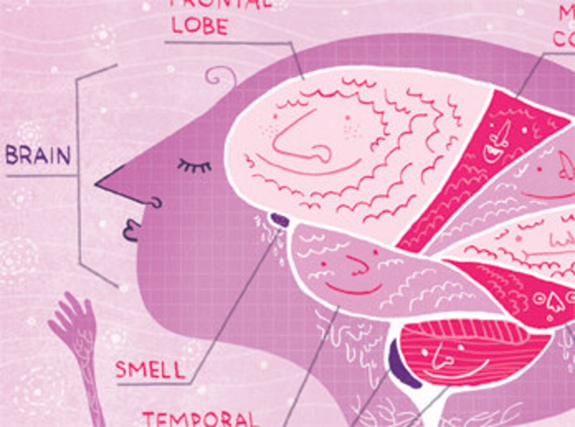 The Nervous System Poster - Etsy