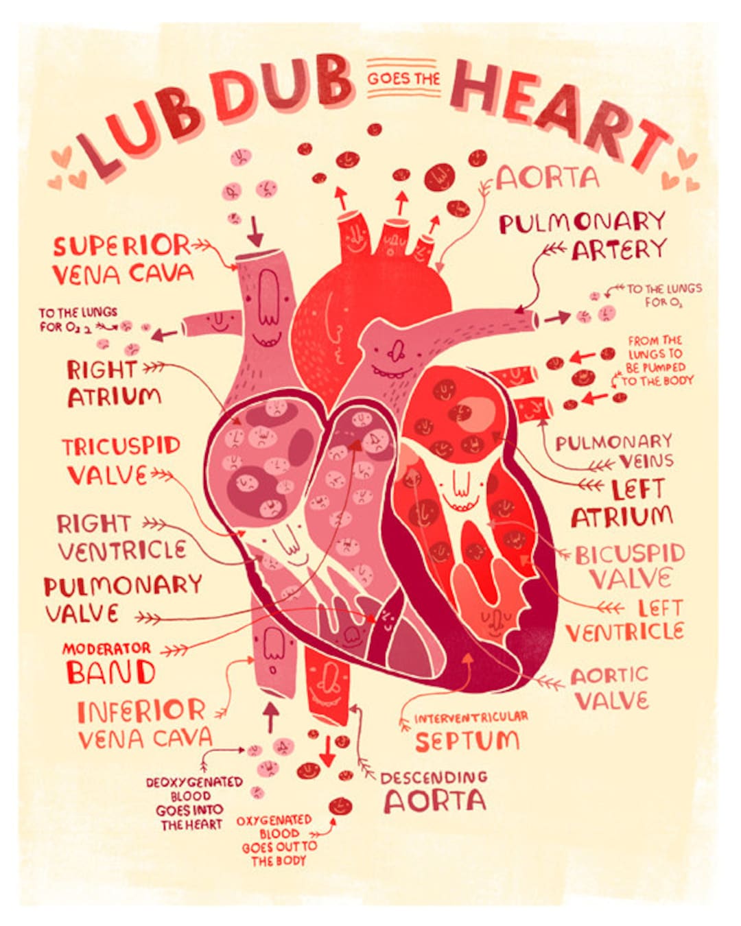 Lub Dub Goes the Heart :anatomy Poster - Etsy