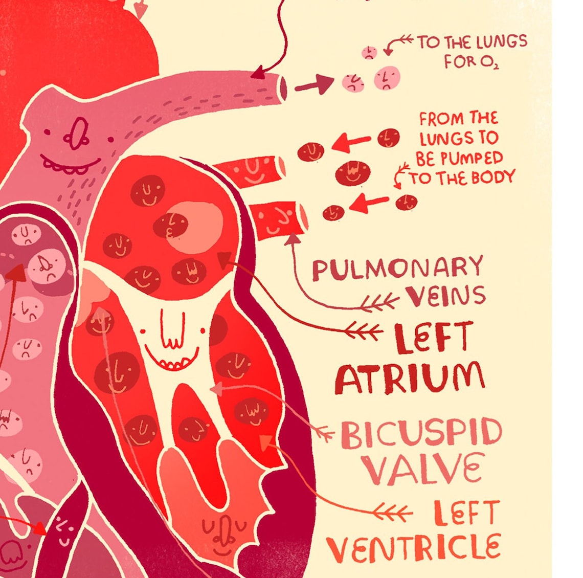 Lub Dub Goes the Heart :anatomy Poster - Etsy