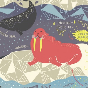 An Arctic Ecosystem: Terrarium Art Print - Etsy