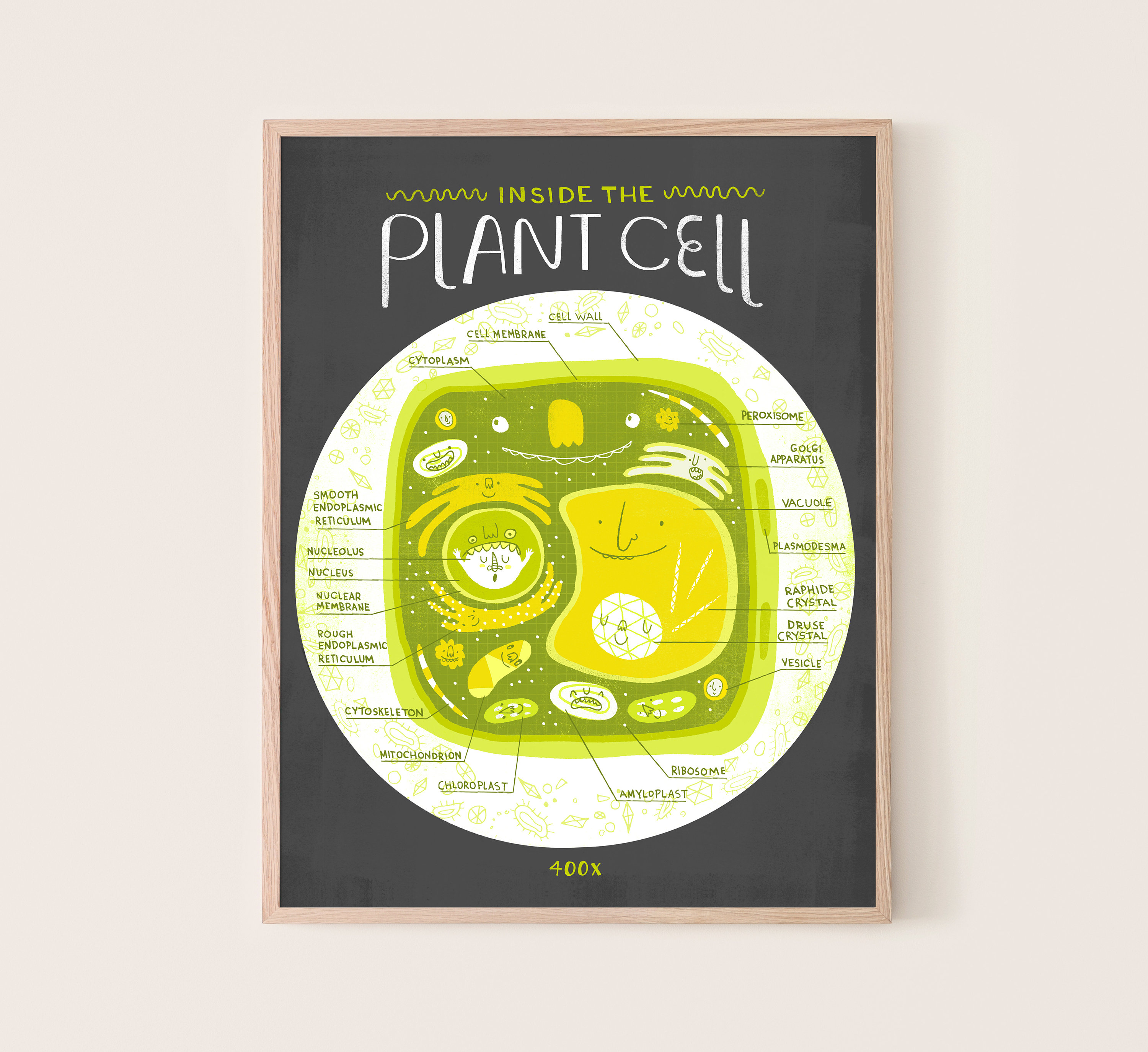 Inside the Plant Cell Anatomy Poster - Etsy