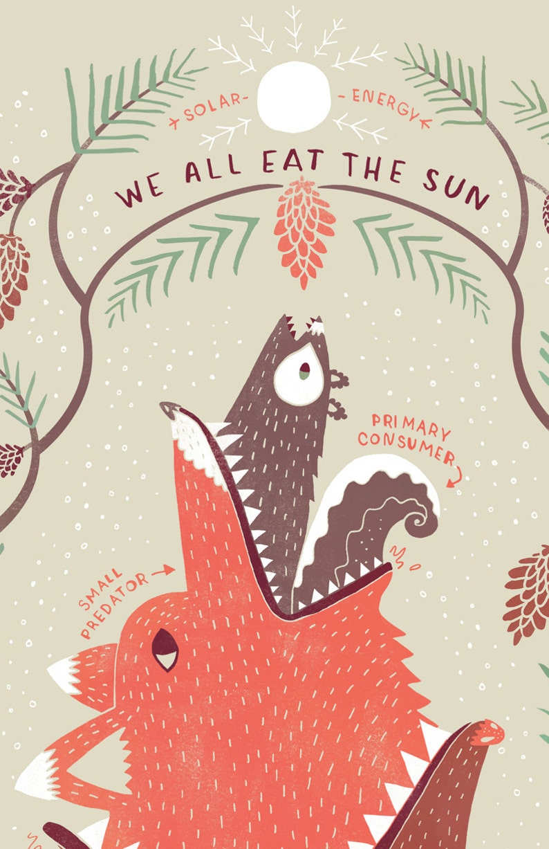 Food Chain Forest Poster - Etsy UK
