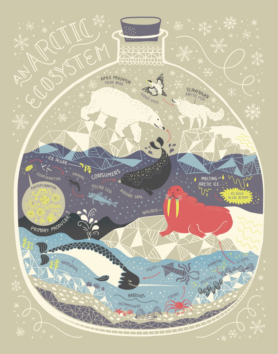An Arctic Ecosystem: Terrarium Art Print - Etsy