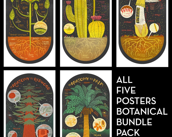 All Five Plant Anatomy Art Prints DEAL - Etsy