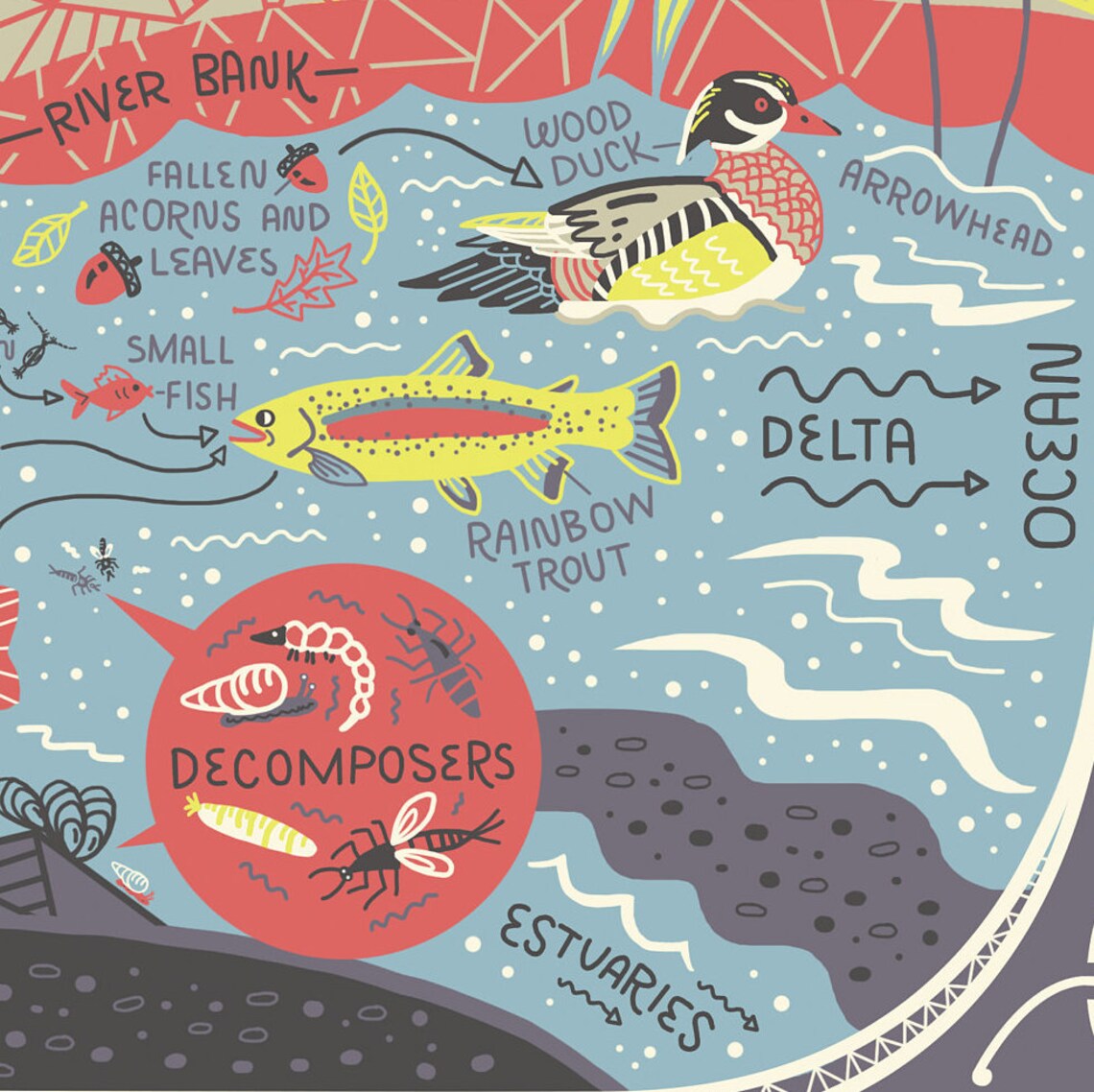 A River Ecosystem: Terrarium Art Print - Etsy Canada