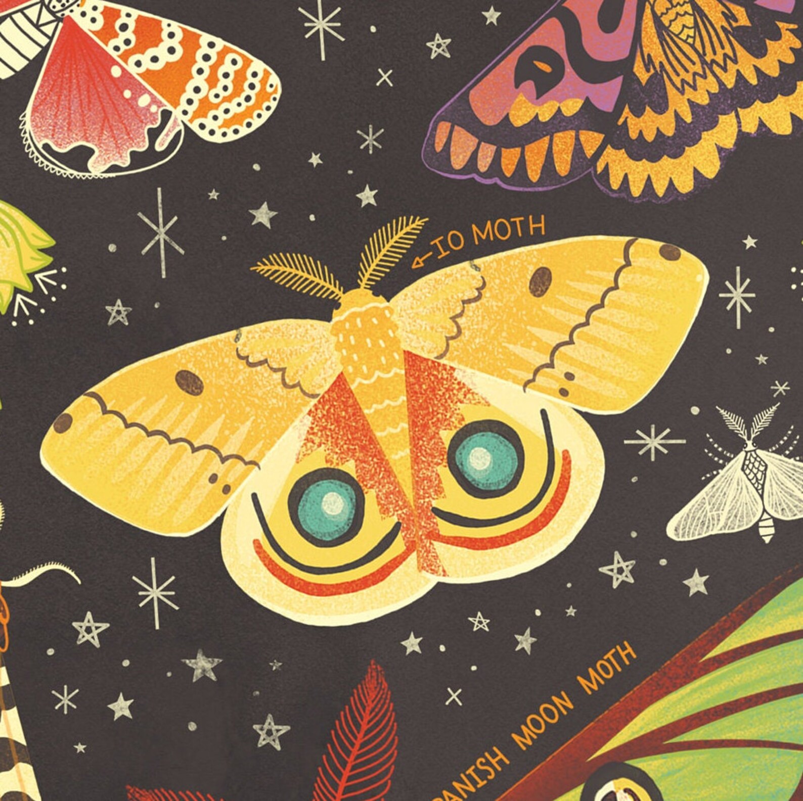 Night Moths Art Print - Etsy