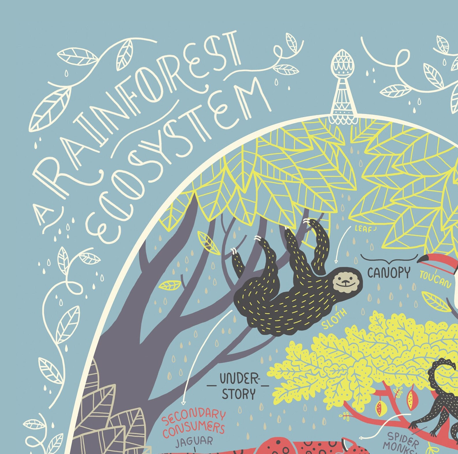 A Rainforest Ecosystem: Terrarium Art Print - Etsy