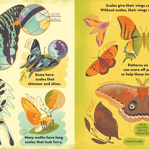 What's Inside a Caterpillar Cocoon? Hardcover Book, Custom Signed Book ...