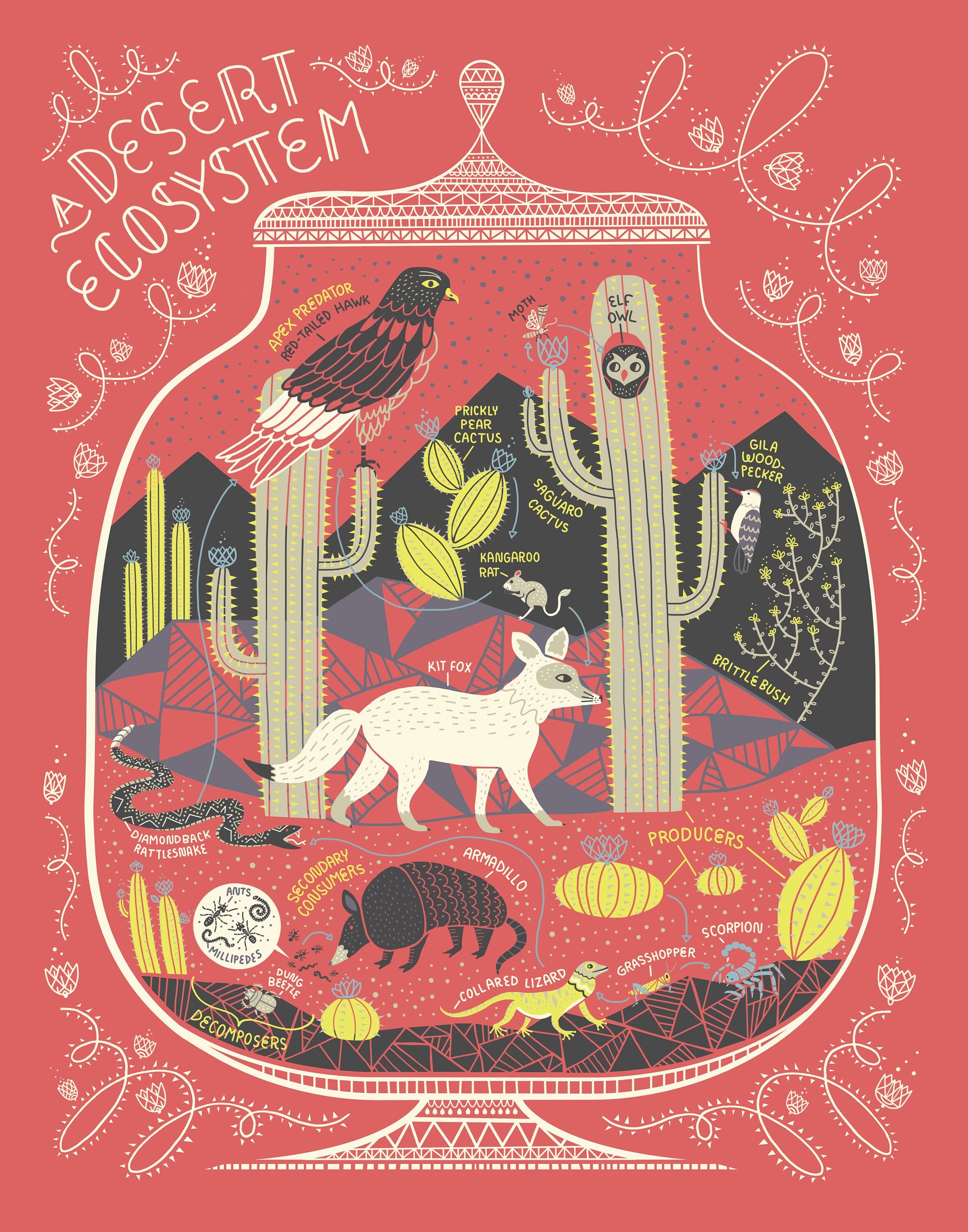 Desert Ecosystem Sketch