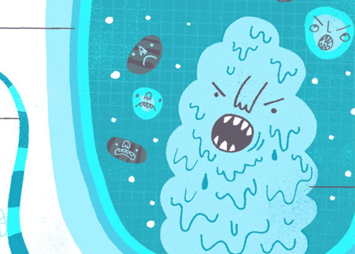 Inside the Bacteria Cell Anatomy Poster - Etsy