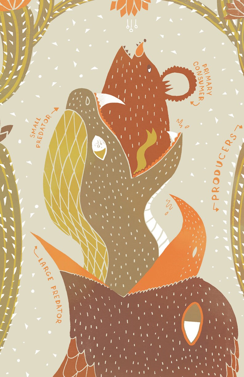 Food Chain Desert Poster - Etsy UK