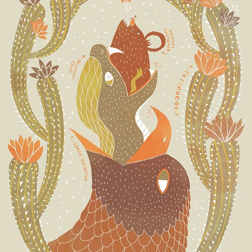 Food Chain Desert Poster - Etsy