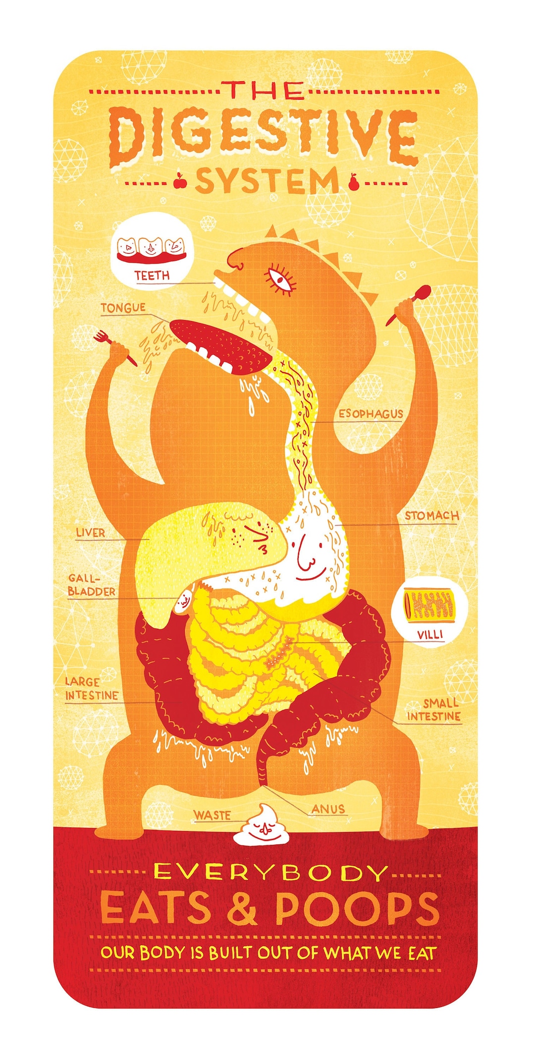 The Digestive System Poster - Etsy