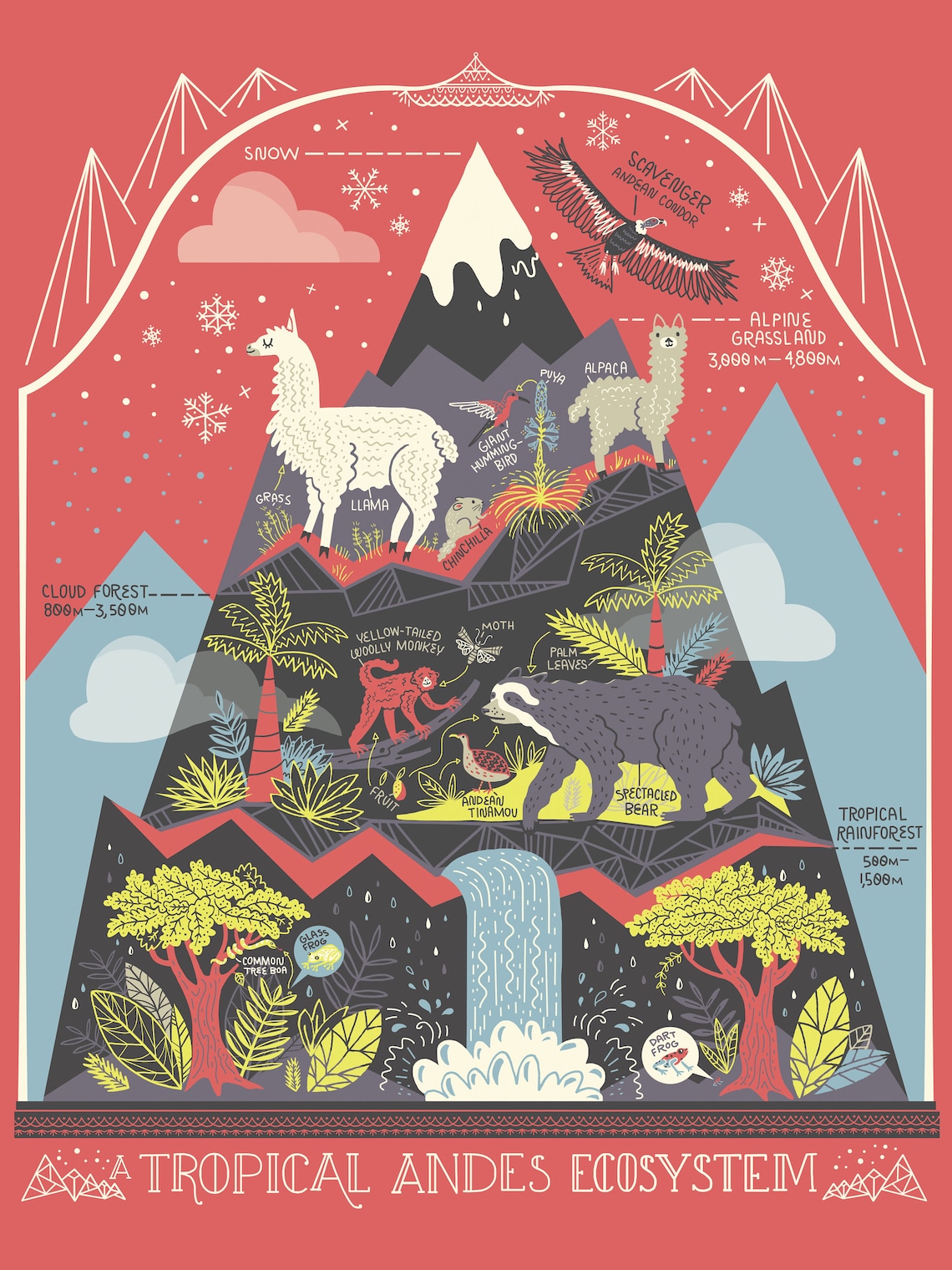 The Andes Mountain Ecosystem: Terrarium Art Print - Etsy