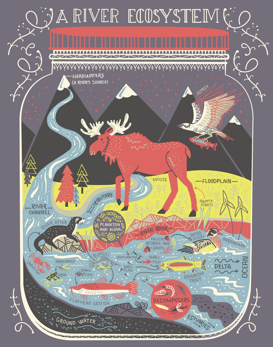 A River Ecosystem: Terrarium Art Print - Etsy