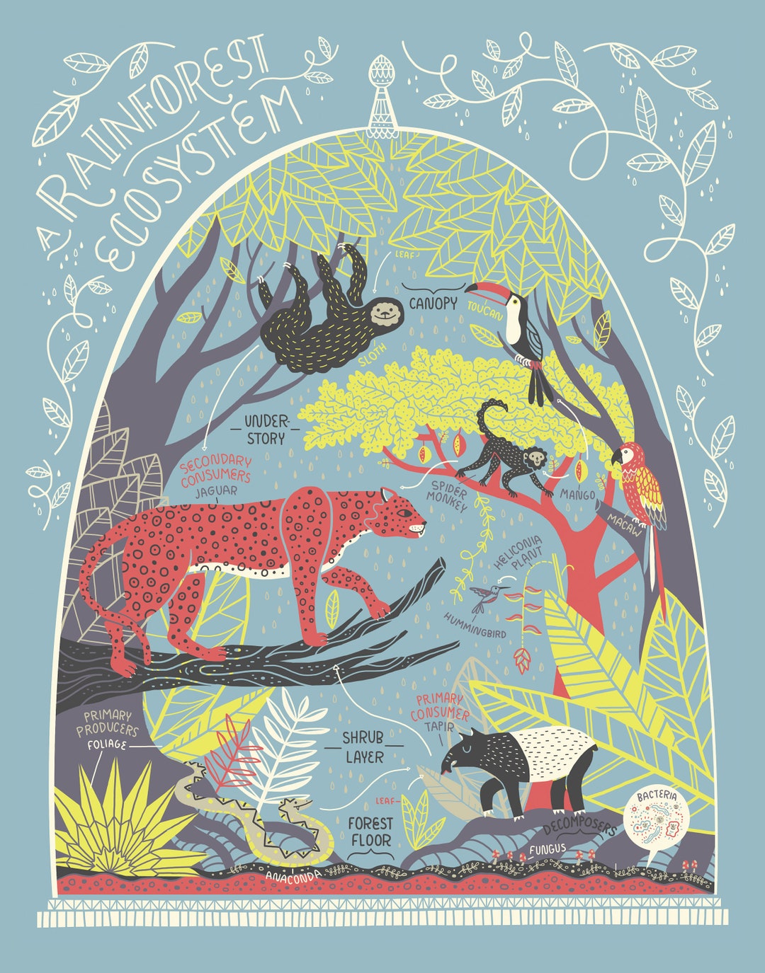 A Rainforest Ecosystem: Terrarium Art Print - Etsy