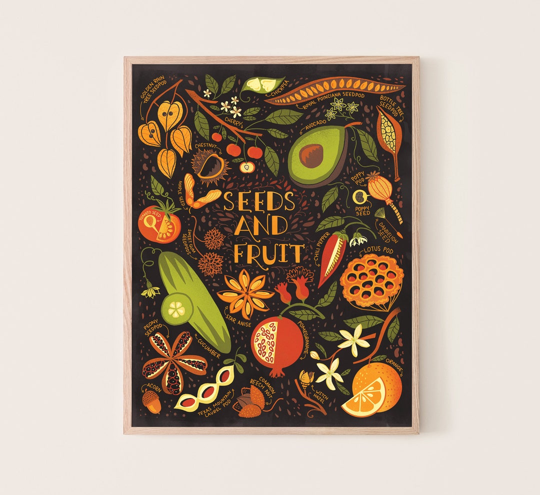 NEW Seeds and Fruit Art Poster - Etsy
