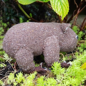 KNITTING PATTERN, Soft Toy, Wombat, Australian Animal, Knitted Wombat ...
